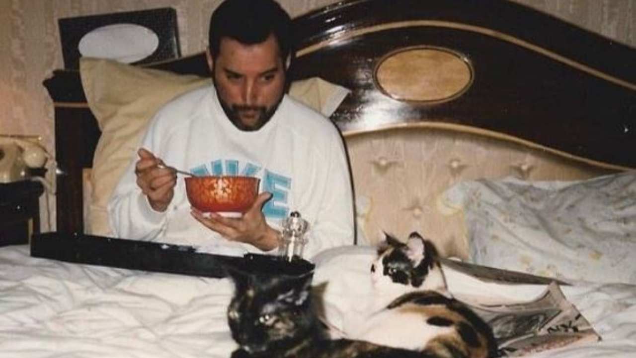 Le ultime foto di Freddie Mercury | Le commoventi immagini scattate dal ...